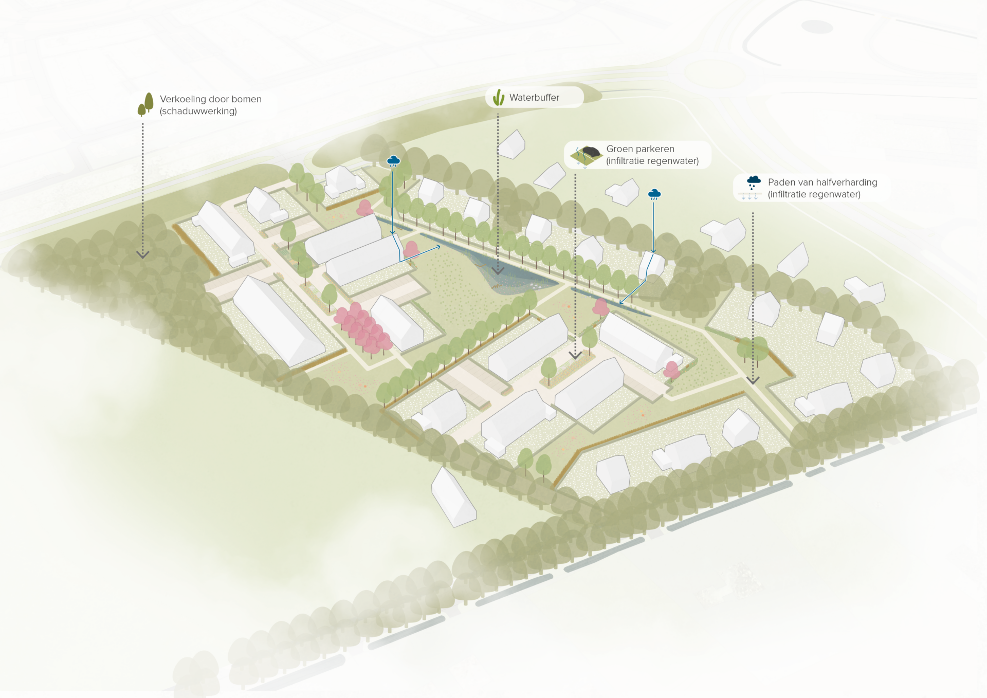 Harderwijk | Brinken in de Zoom - IMOSS